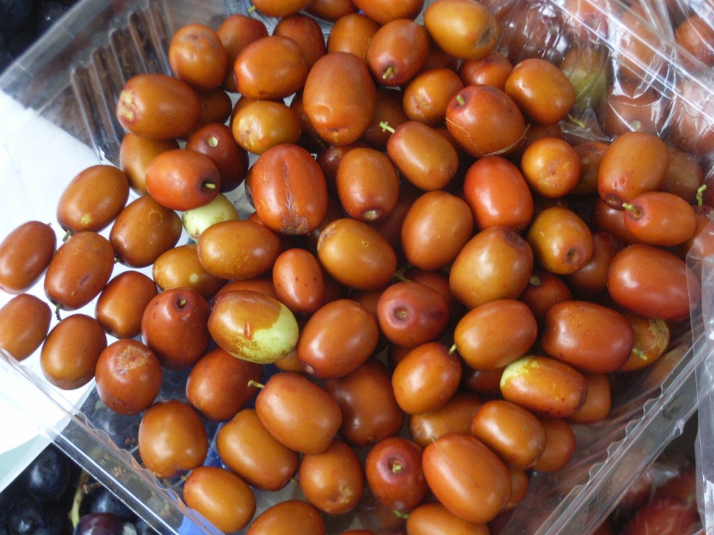 Ma Botanique: Jujube, Datte chinoise