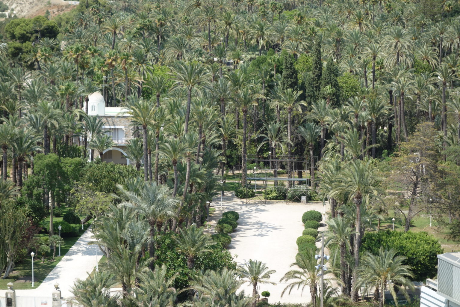 Ma Botanique: Elche Palmeraie et Musée